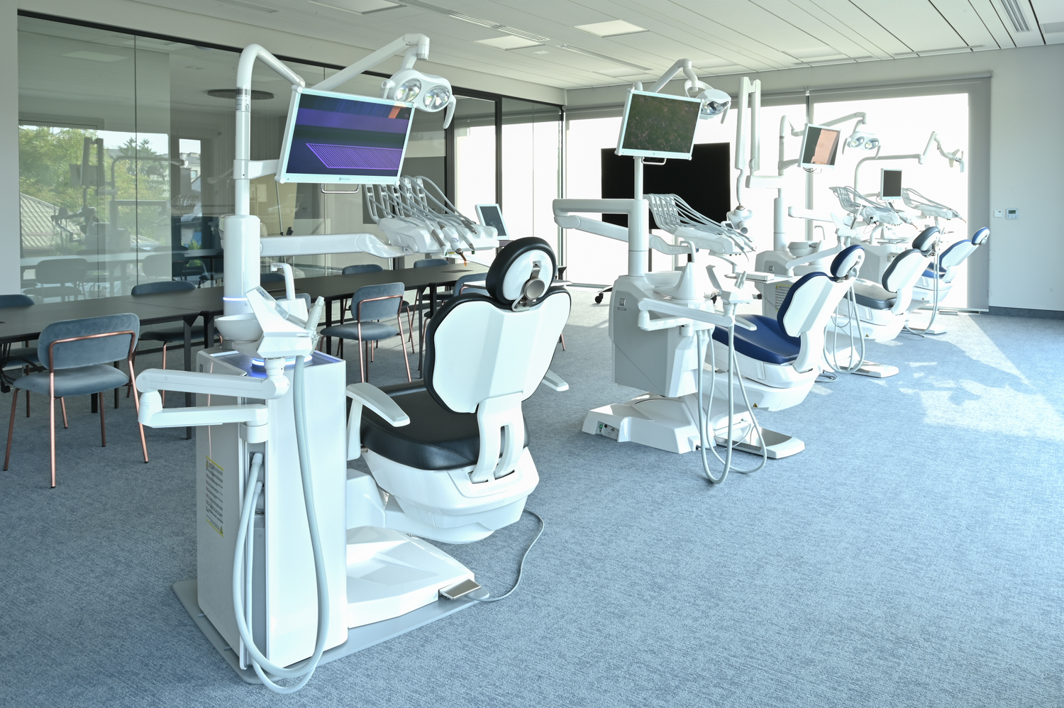 Centrum Szkoleń Stern Weber Polska - Stern Weber Polska